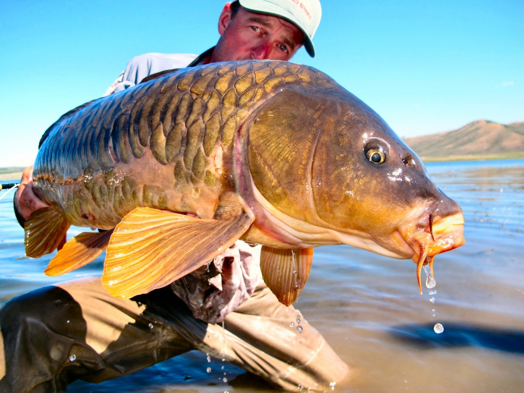 "Fly Fishing for Carp - A 20lb Fish Near Home" – Jeff Currier
